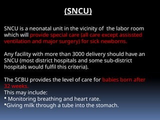 Facilitated newborn care for nursing course | PPTX