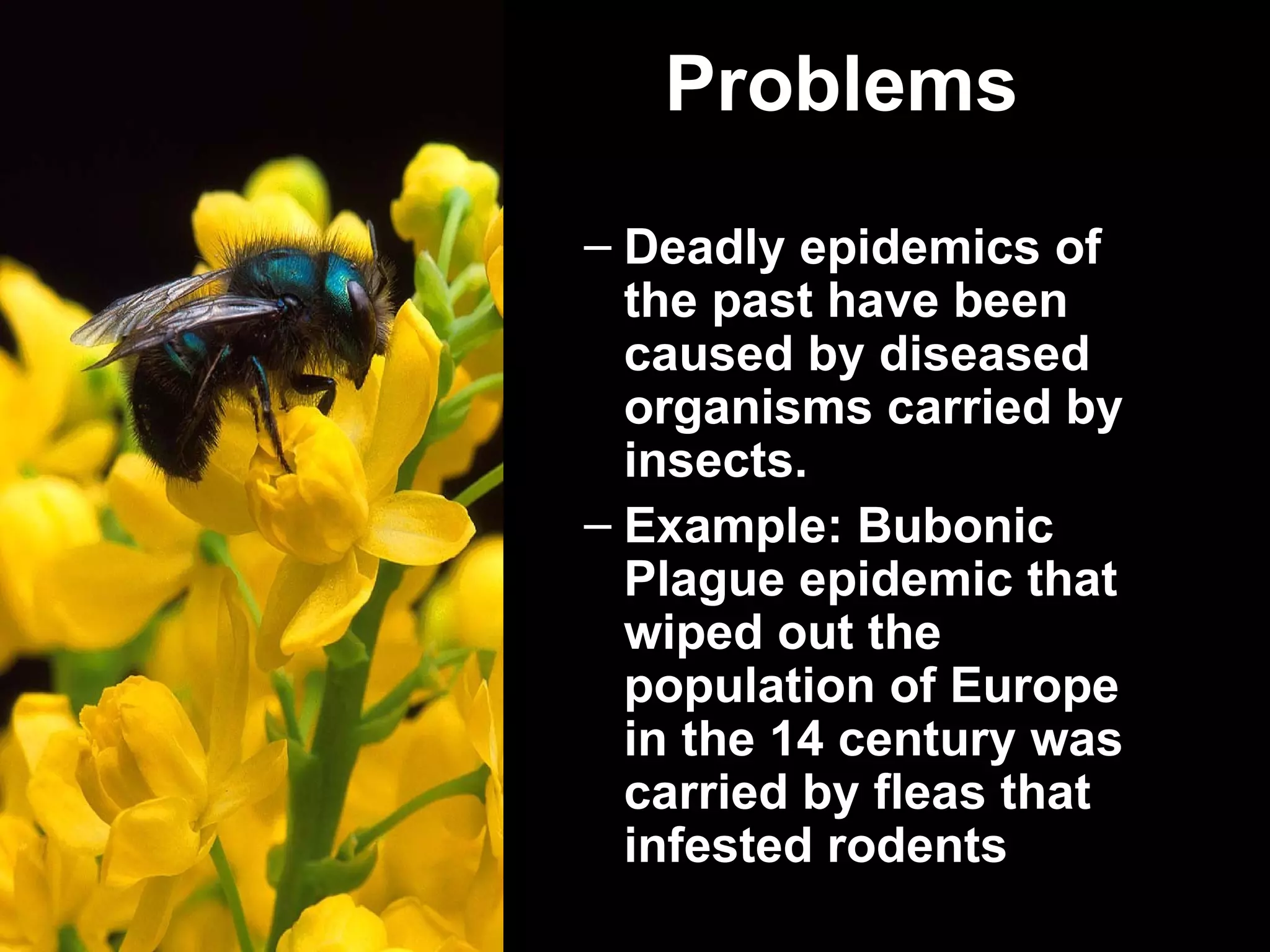 Entomology | PPT