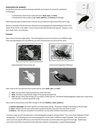 Field Book Project bird photograph activity 2013 | PDF