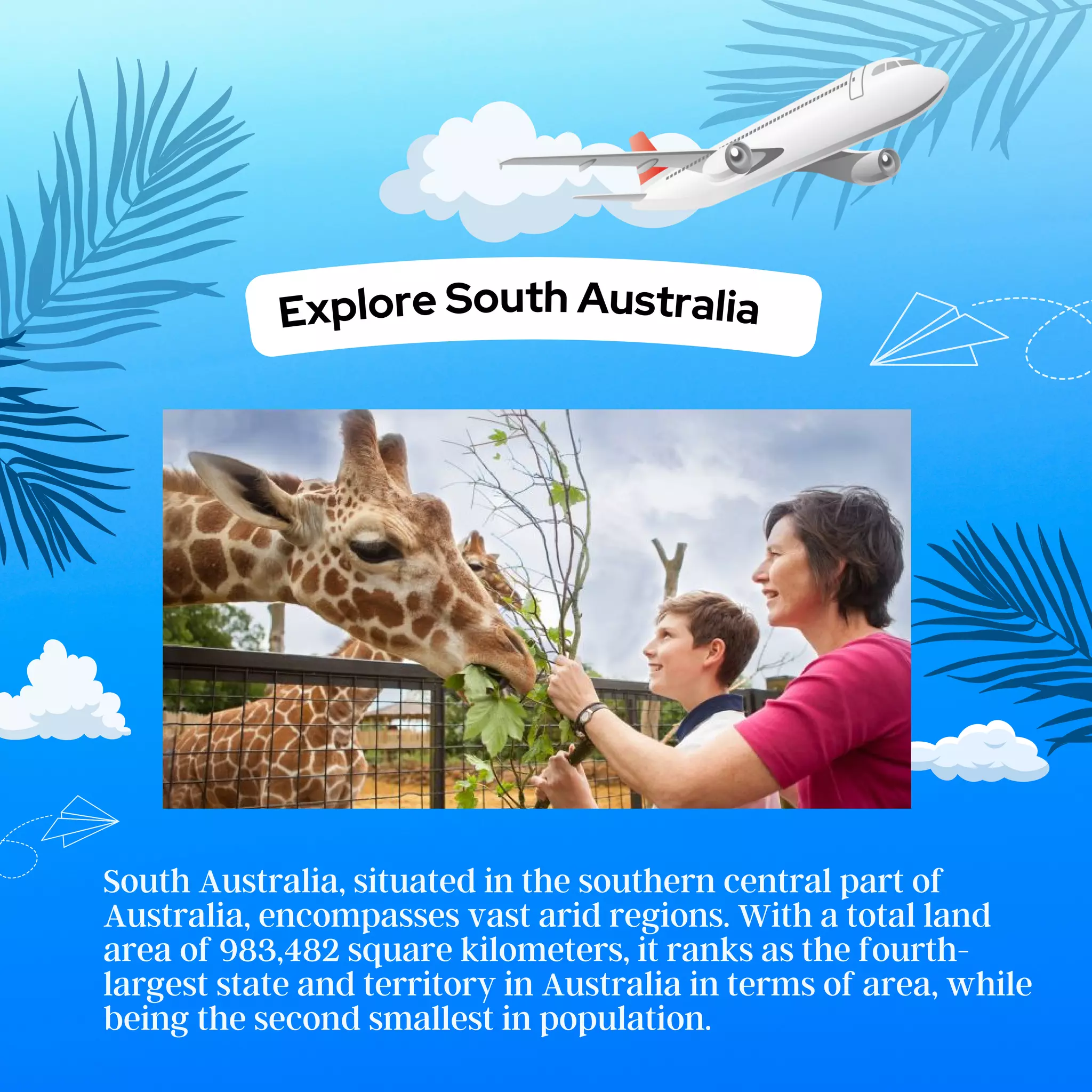 fbp inrenational- 1.pdf