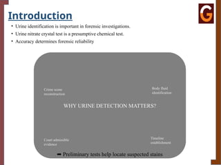 Evaluating the Accuracy and Forensic Value of Urine Nitrate Crystal ...