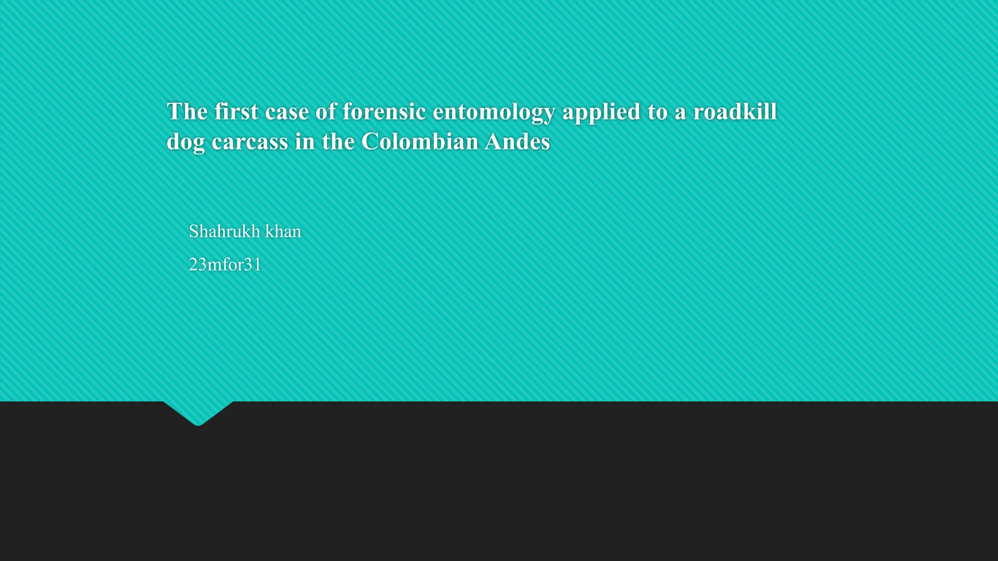 The first case of forensic entomology applied to a roadkill dog carcase ...