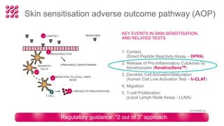 Replacing animal-derived components in regulatory in vitro tests | PPTX