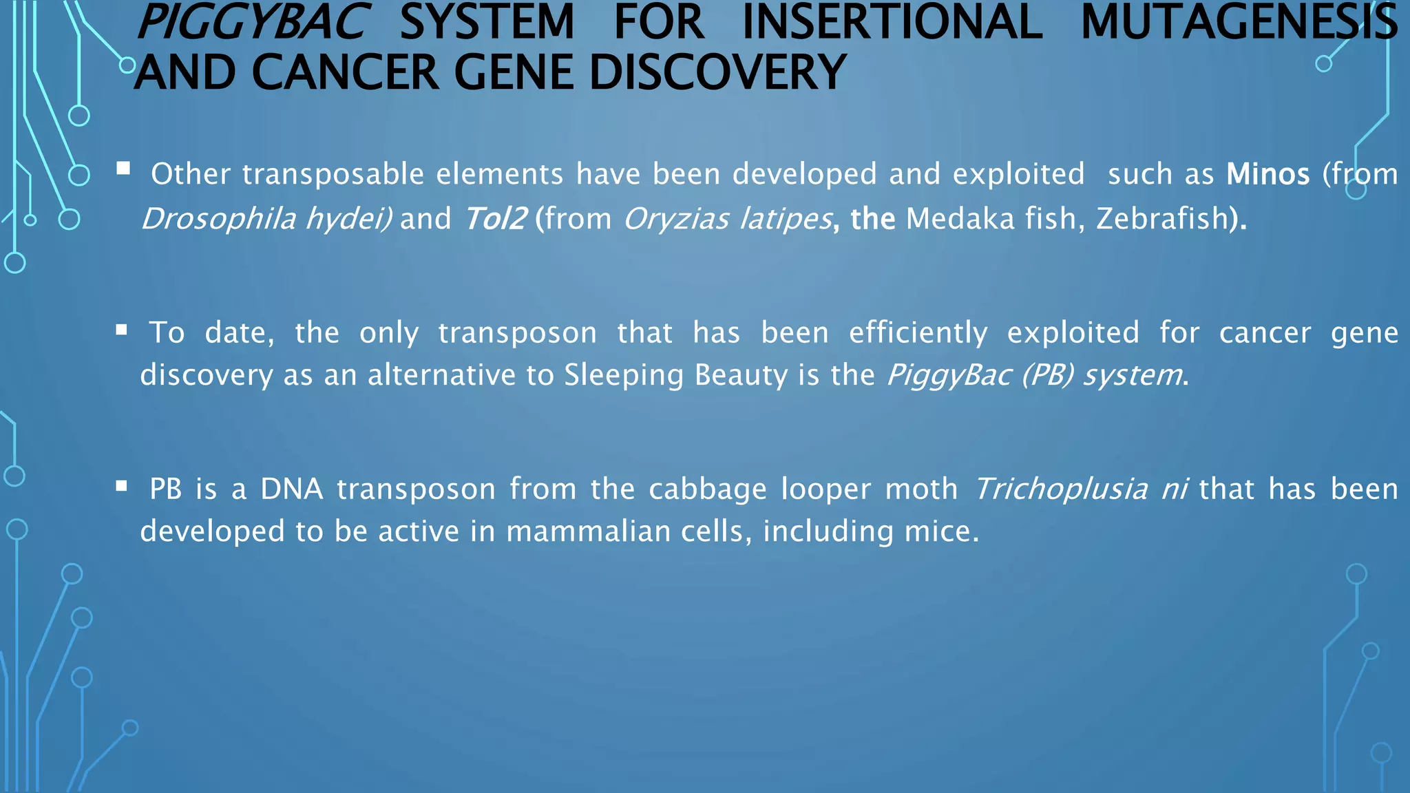 insertional mutagenesis | PPTX
