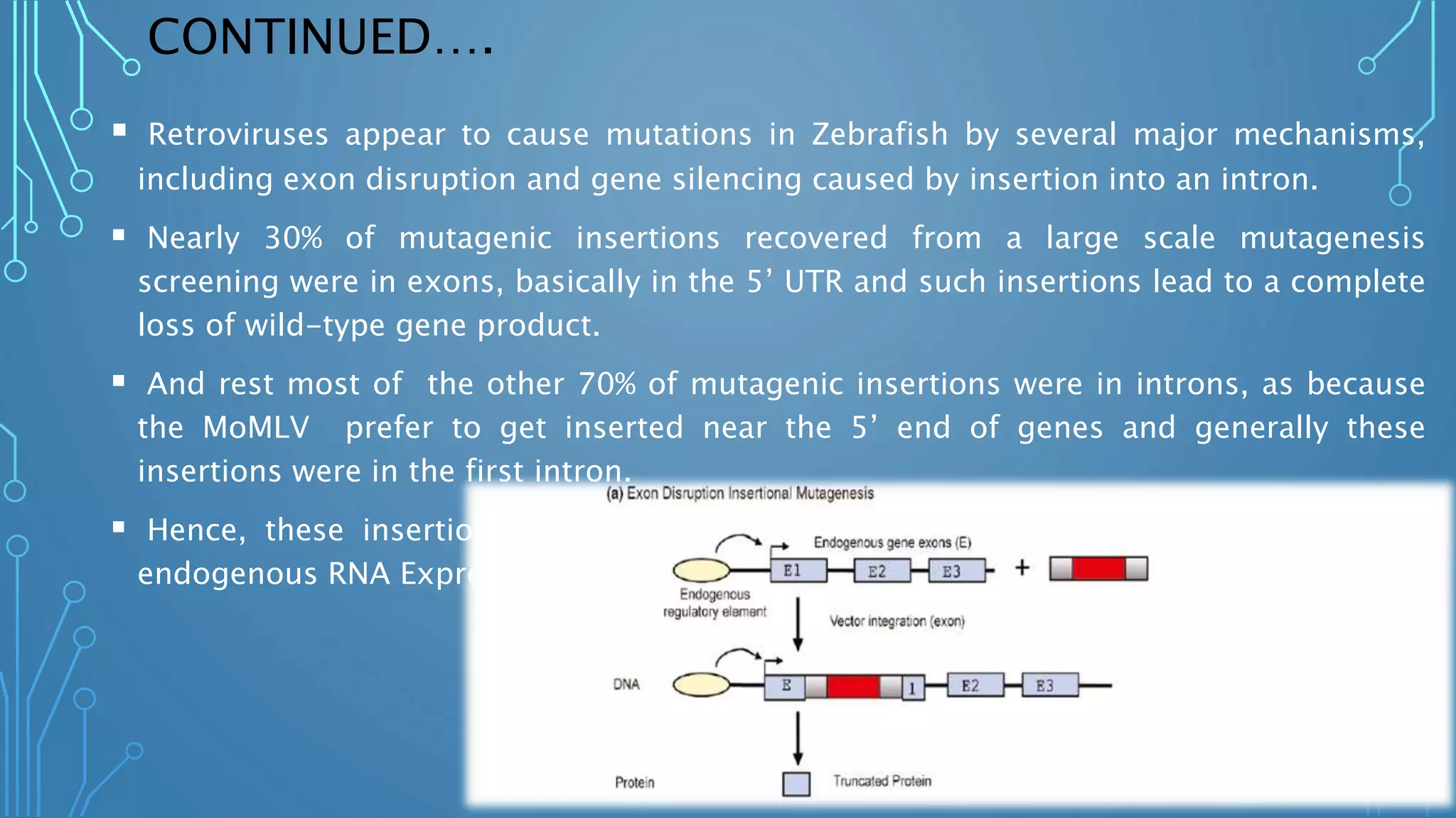 insertional mutagenesis | PPTX