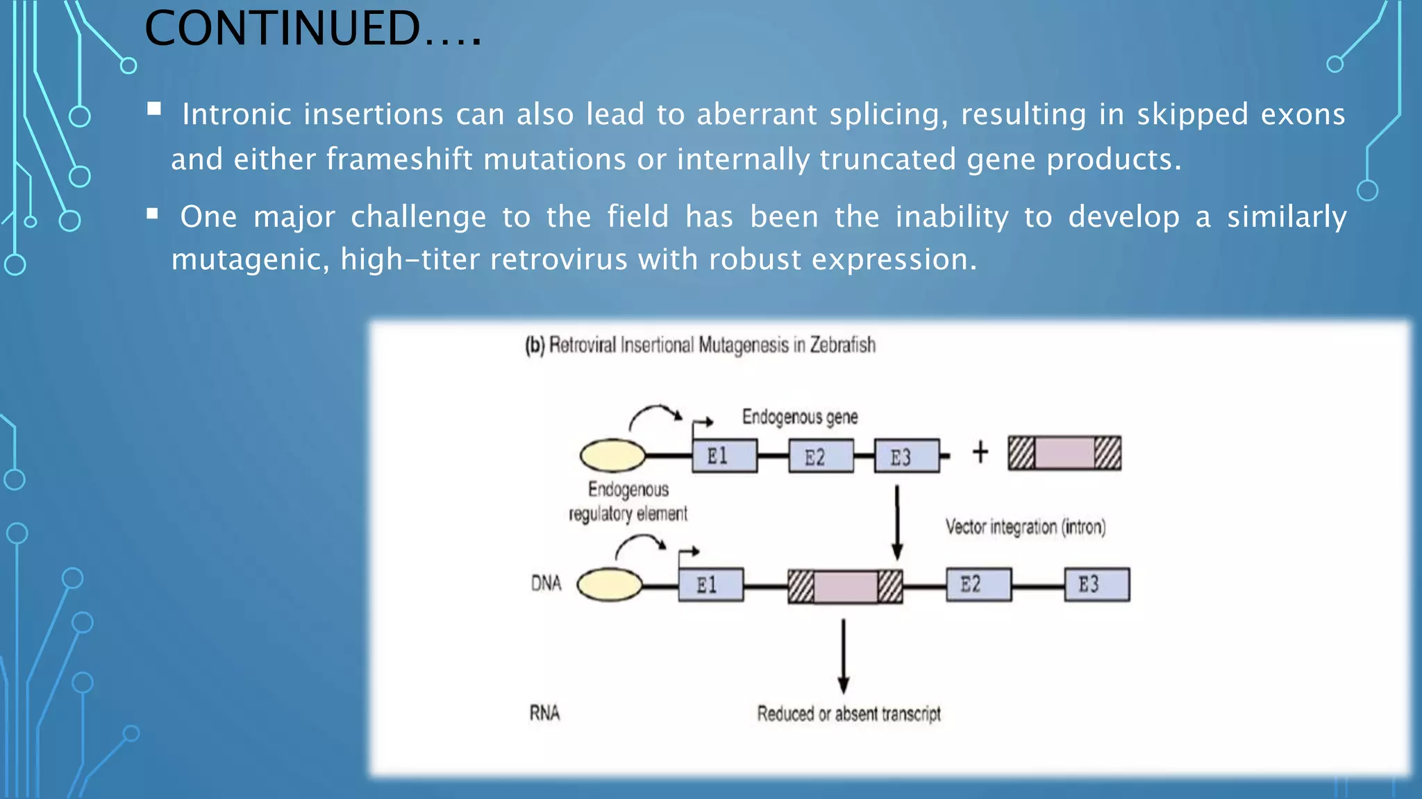 insertional mutagenesis | PPTX