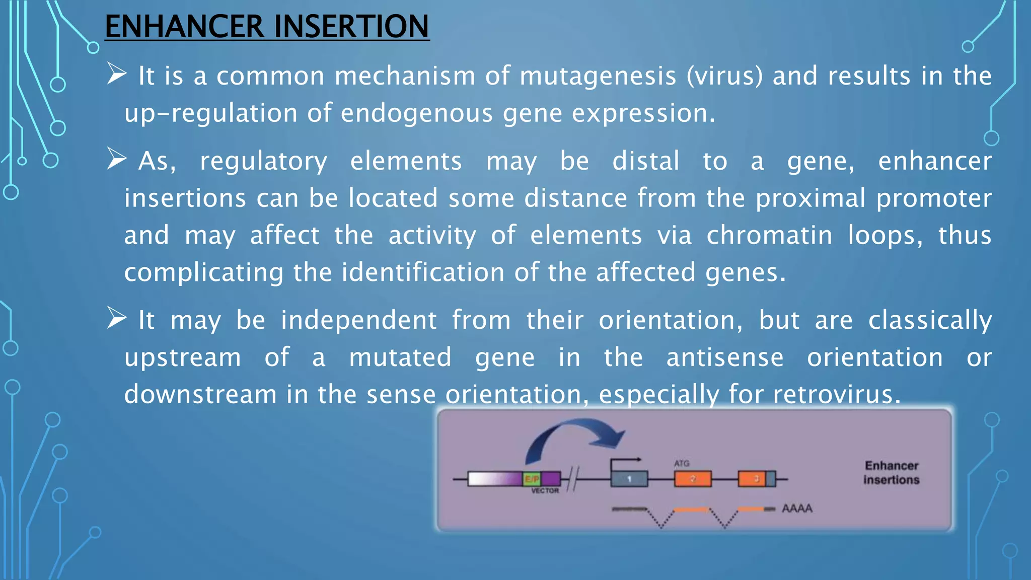 insertional mutagenesis | PPTX