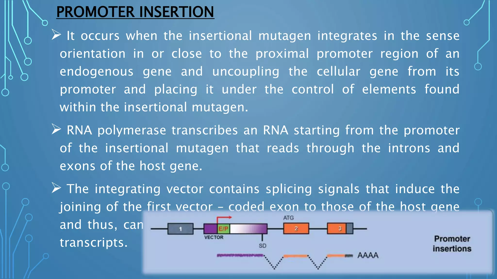 insertional mutagenesis | PPTX