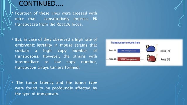 insertional mutagenesis | PPTX