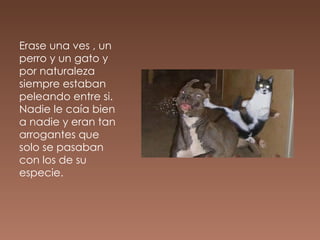 Fábula del perro y el gato | PPT