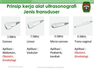 Pogi, usg, 2014, final, 5. prinsip fisika dasar & biosafety pemeriksaan ...