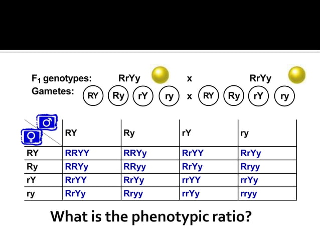 FBY 0416 - Chapter 4 - Genetic Inheritance (Latest).pptx