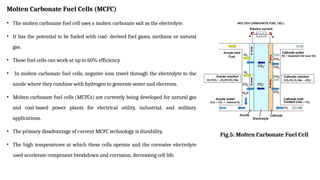 PPT of Fuel Cell Fundamentals and Types of Fuel Cells | PPTX