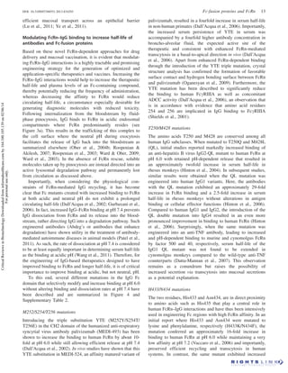 Fc fusion proteins and fc rn - structural insights for longer-lasting ...