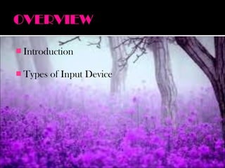 input devices | PPT