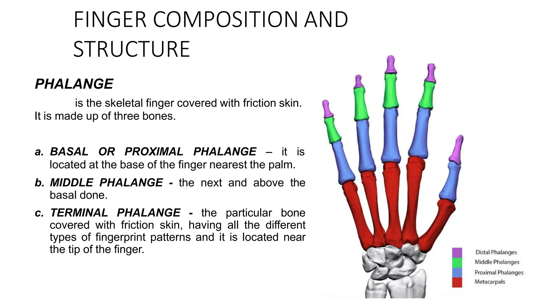 FC102-chapter-2 (1).pptx