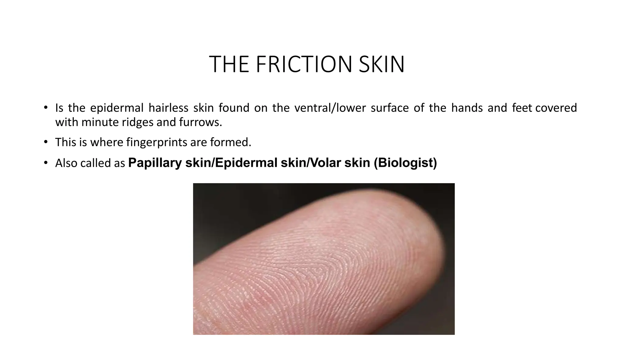 FC102-chapter-2 (1).pptx