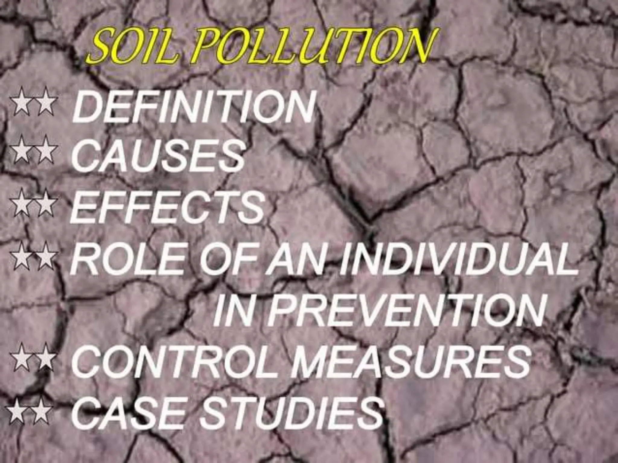 Soil pollution.pptx