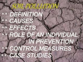 Soil pollution.pptx
