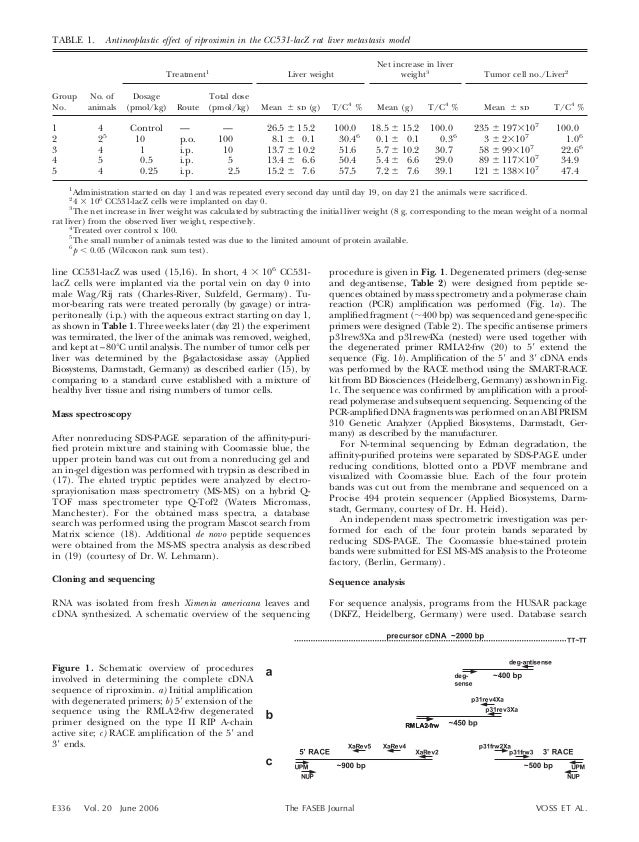 Voss et al. - 2006 - Identification and characterization of riproximi…