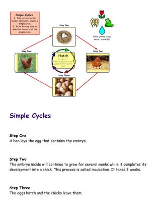 Chicken Cycle | PDF