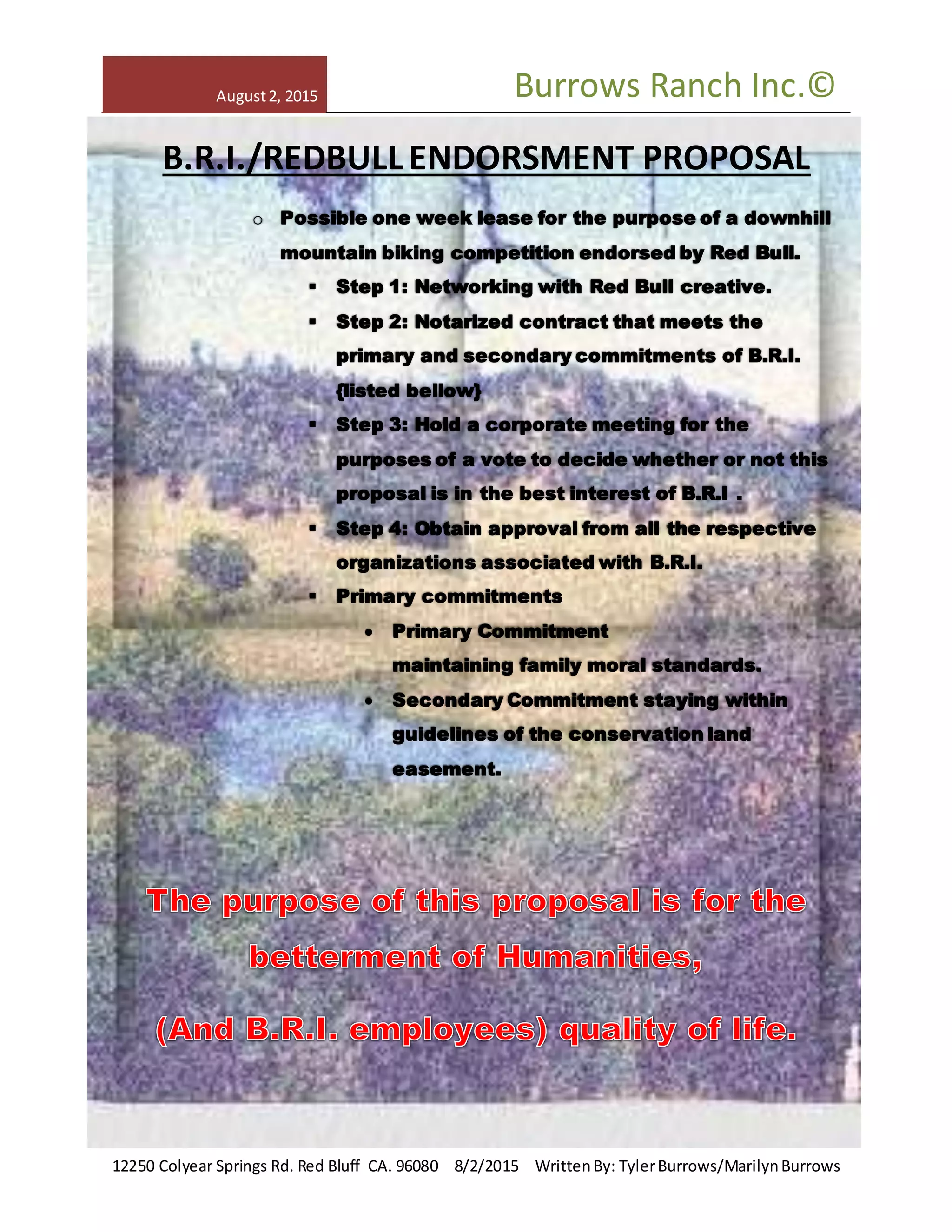 RedBull Proposal | DOCX