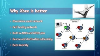 Capstone Project Presentation | PPSX