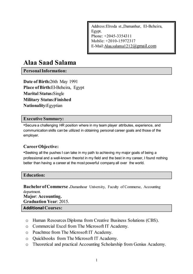 CV-Alaa updated | DOCX