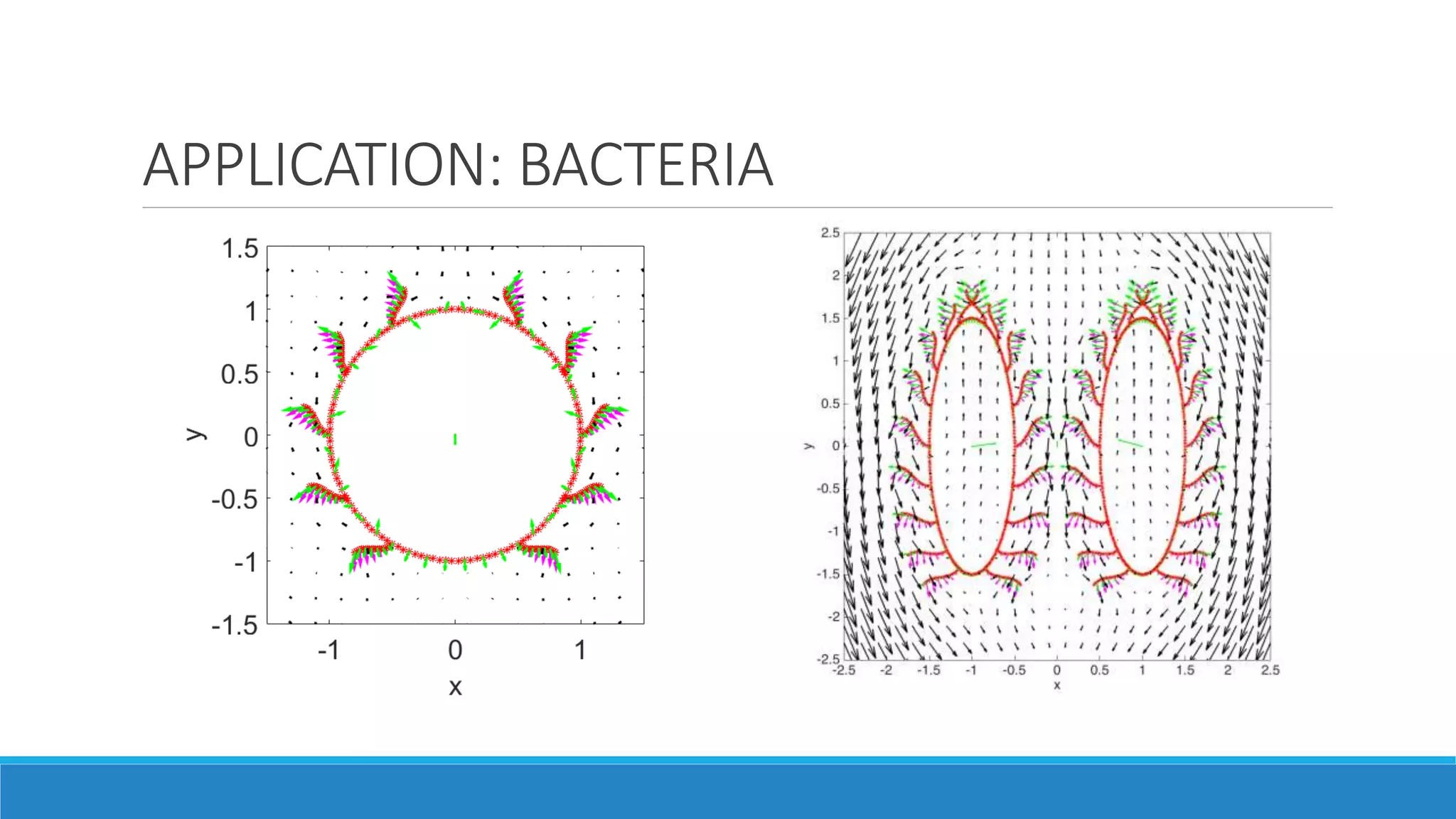 The Method of regularized Stokeslets | PPTX