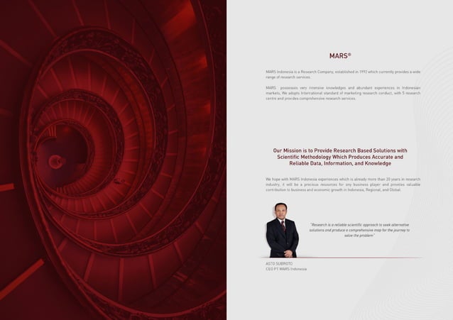 MARS COMPANY PROFILE | PDF