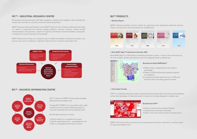 MARS COMPANY PROFILE | PDF