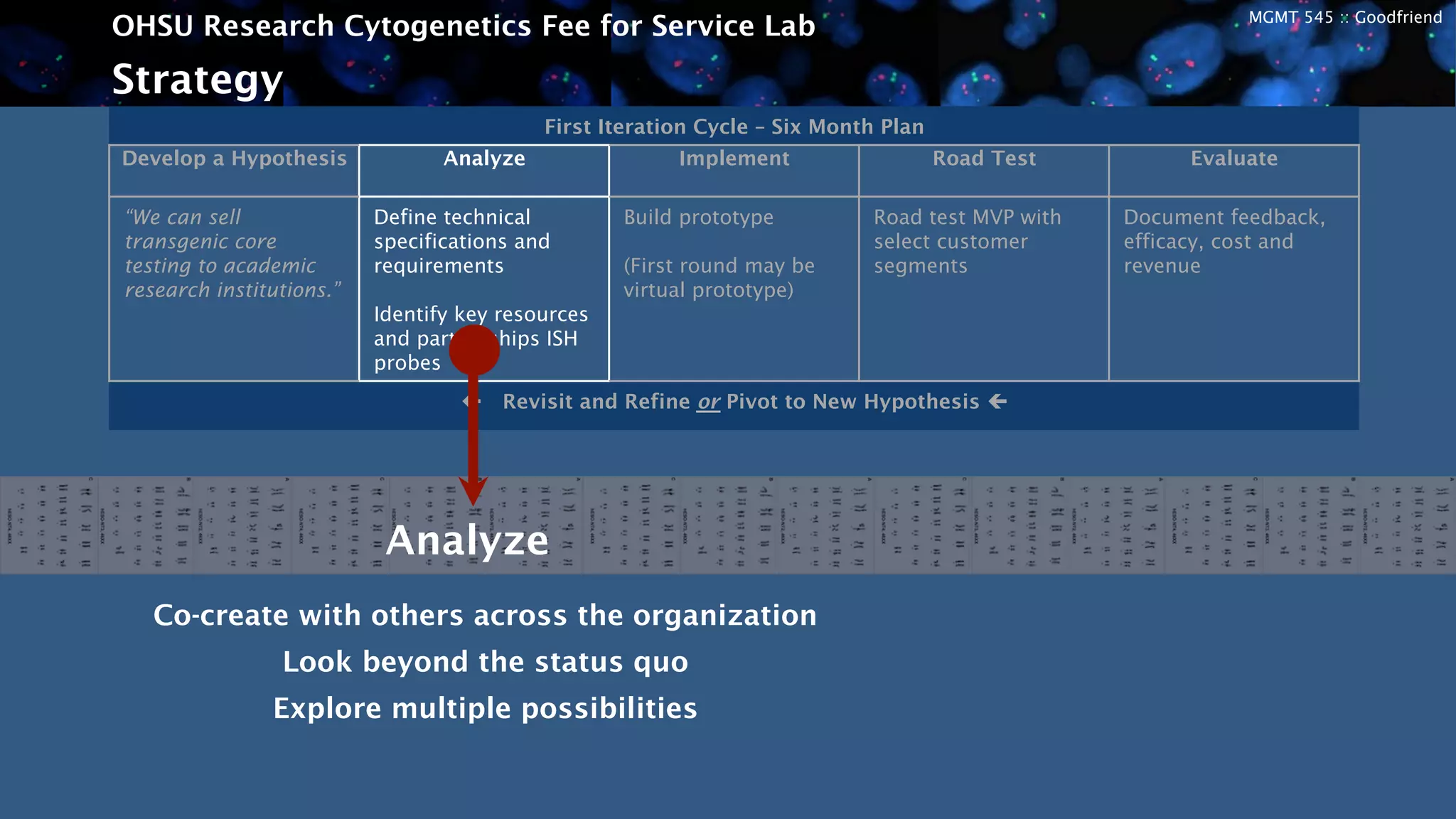 Research Cytogenetic Lab Presentation Ppt