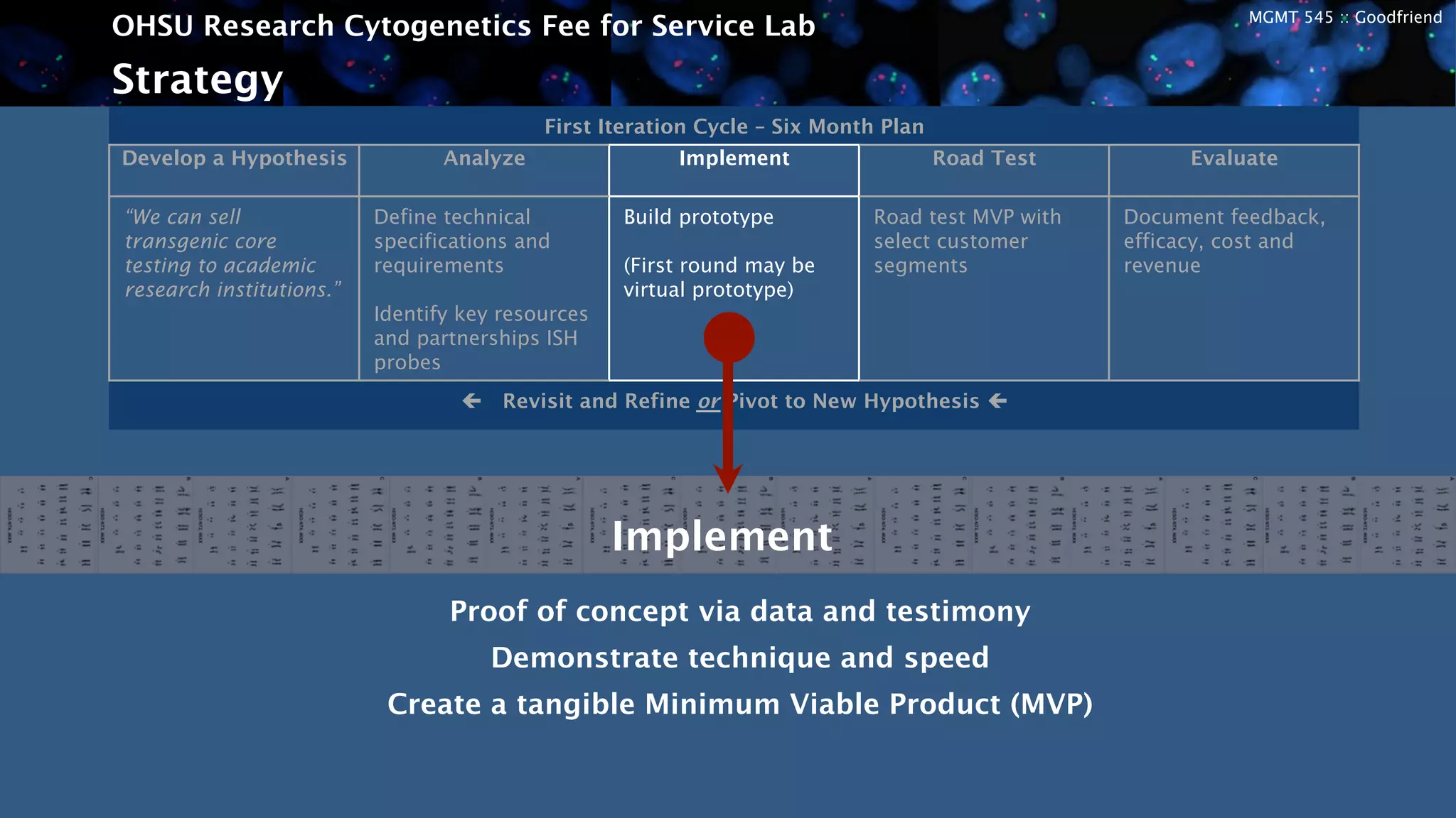 Research Cytogenetic Lab Presentation Ppt