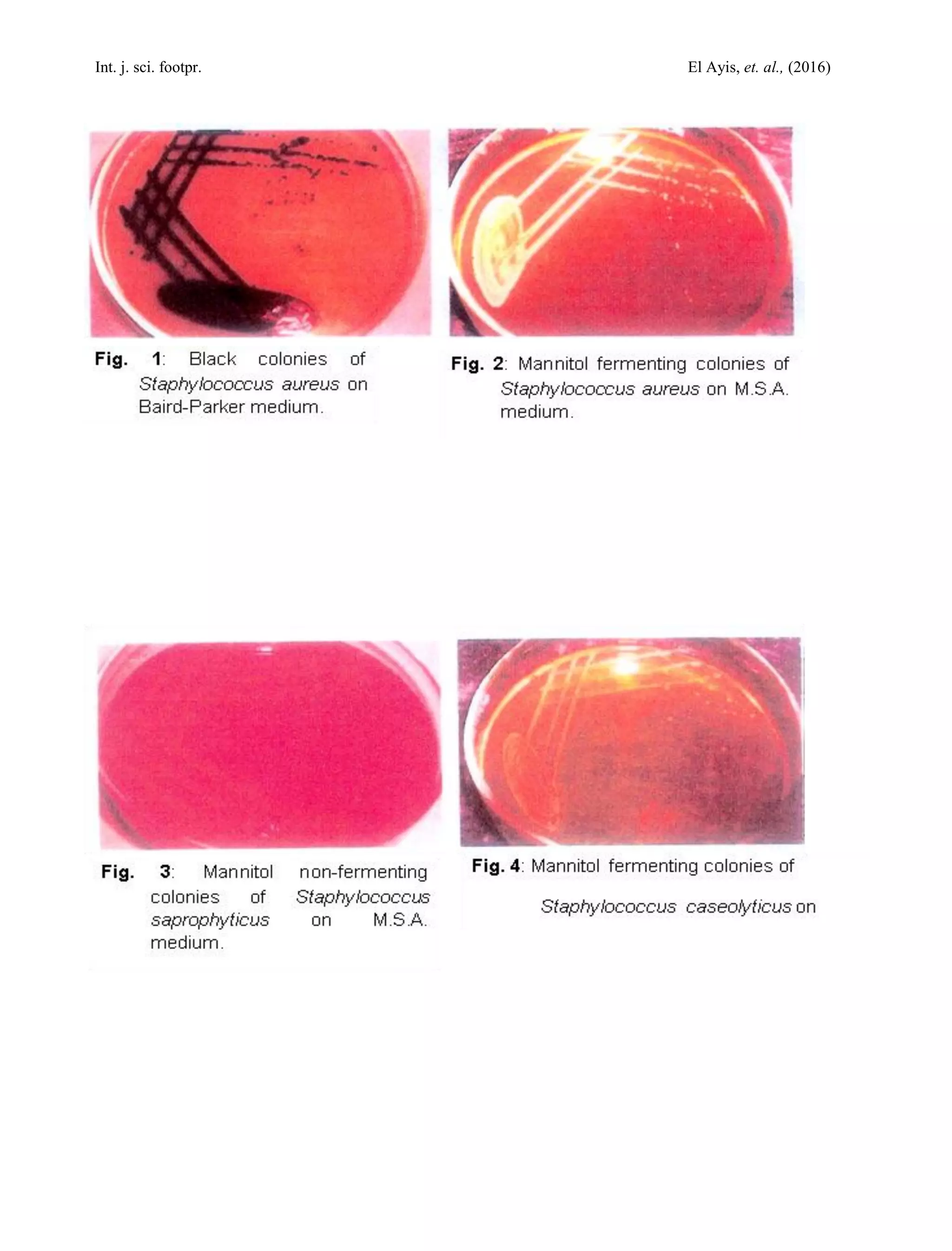 SF-2016-64-Isolation-and-Identification-of-Staphylococci-Isolated-Fro…
