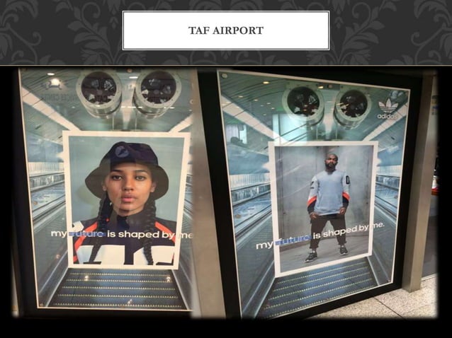 Window campaign | PPT