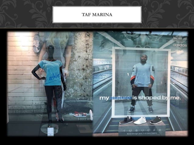 Window campaign | PPT