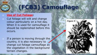 FCB3_L1.ppt