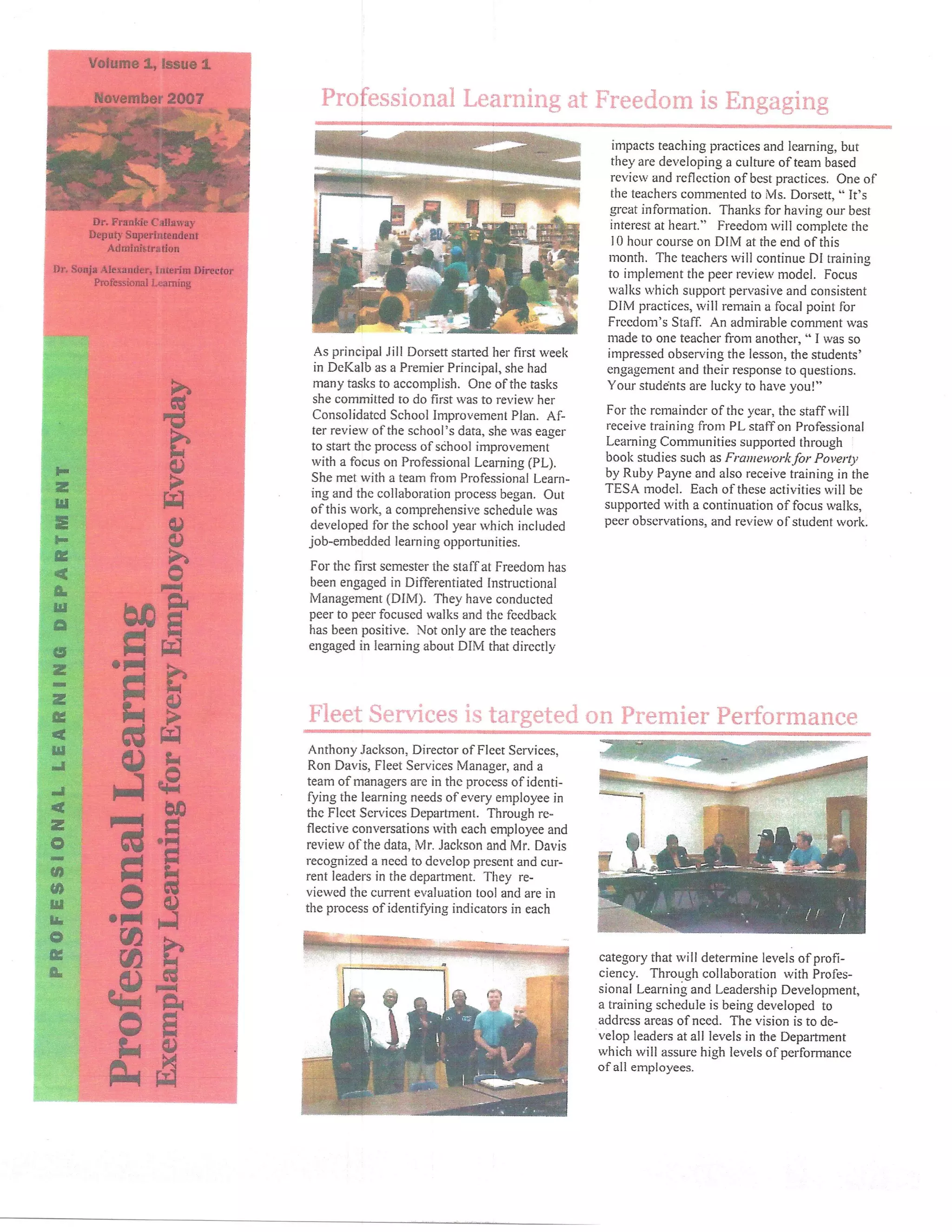 FMS DIM Professional Development | PDF