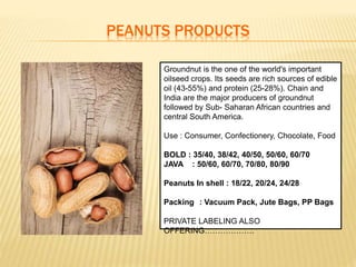 Company Presentation | PPT