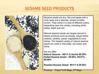 Company Presentation | PPT