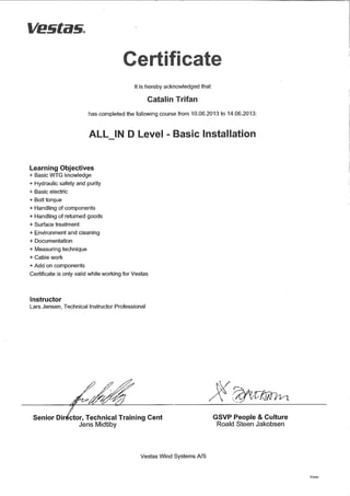 D Level Certificate | PDF