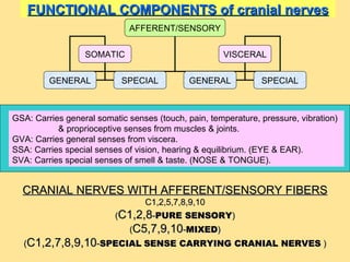 Functional components of the cranial nerves (animated) | PPT