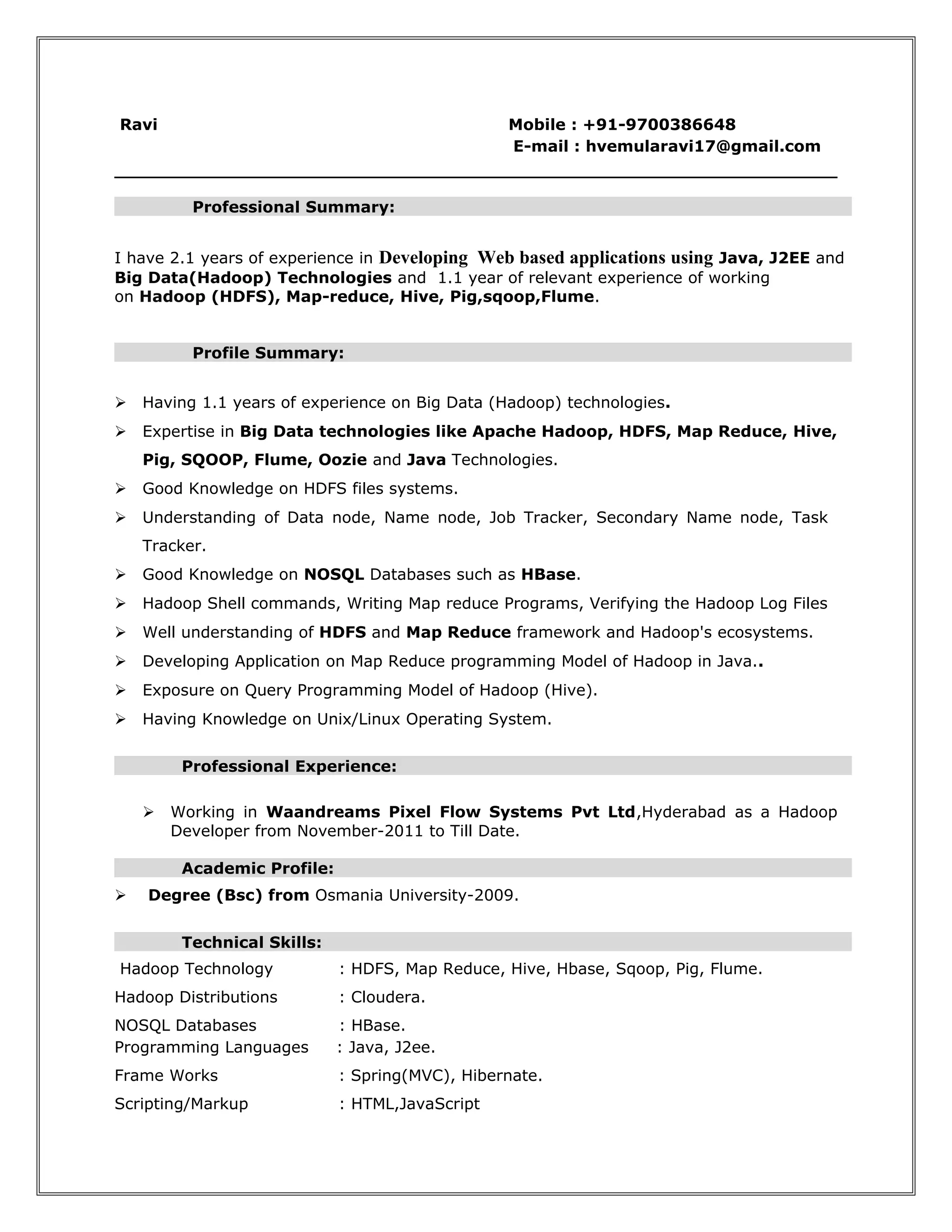 Software Engineer_Ravi | DOC | Programming Languages | Computing