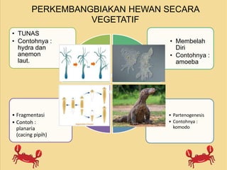 Ipa (perkembangbiakan hewan)_kamis_30_juli_2020 | PPTX