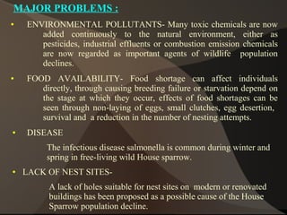 IMPACT OF ECOLOGICAL IMBALANCE ON WILDLIFE | ODP
