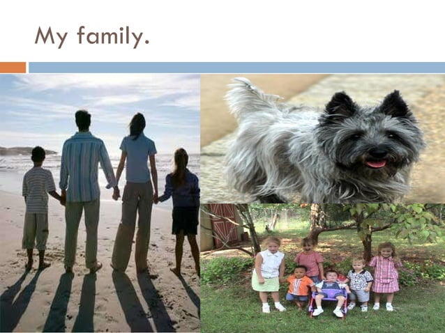 F/CE personality project | PPT