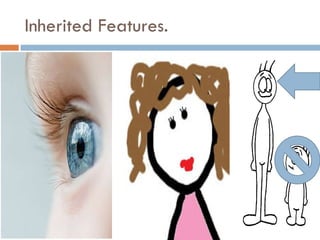 F/CE personality project | PPT