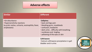 Cephalosporins | PPTX