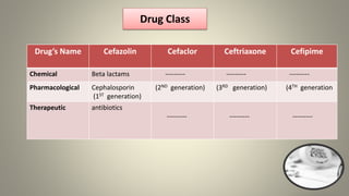 Cephalosporins | PPTX