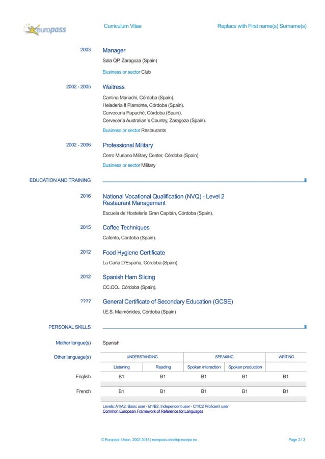 CV-Pam-English | PDF